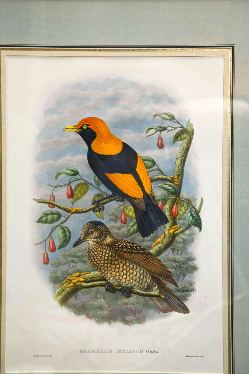 Fine Pair of Wonderfully Framed Lithographs For Sale at 1stdibs