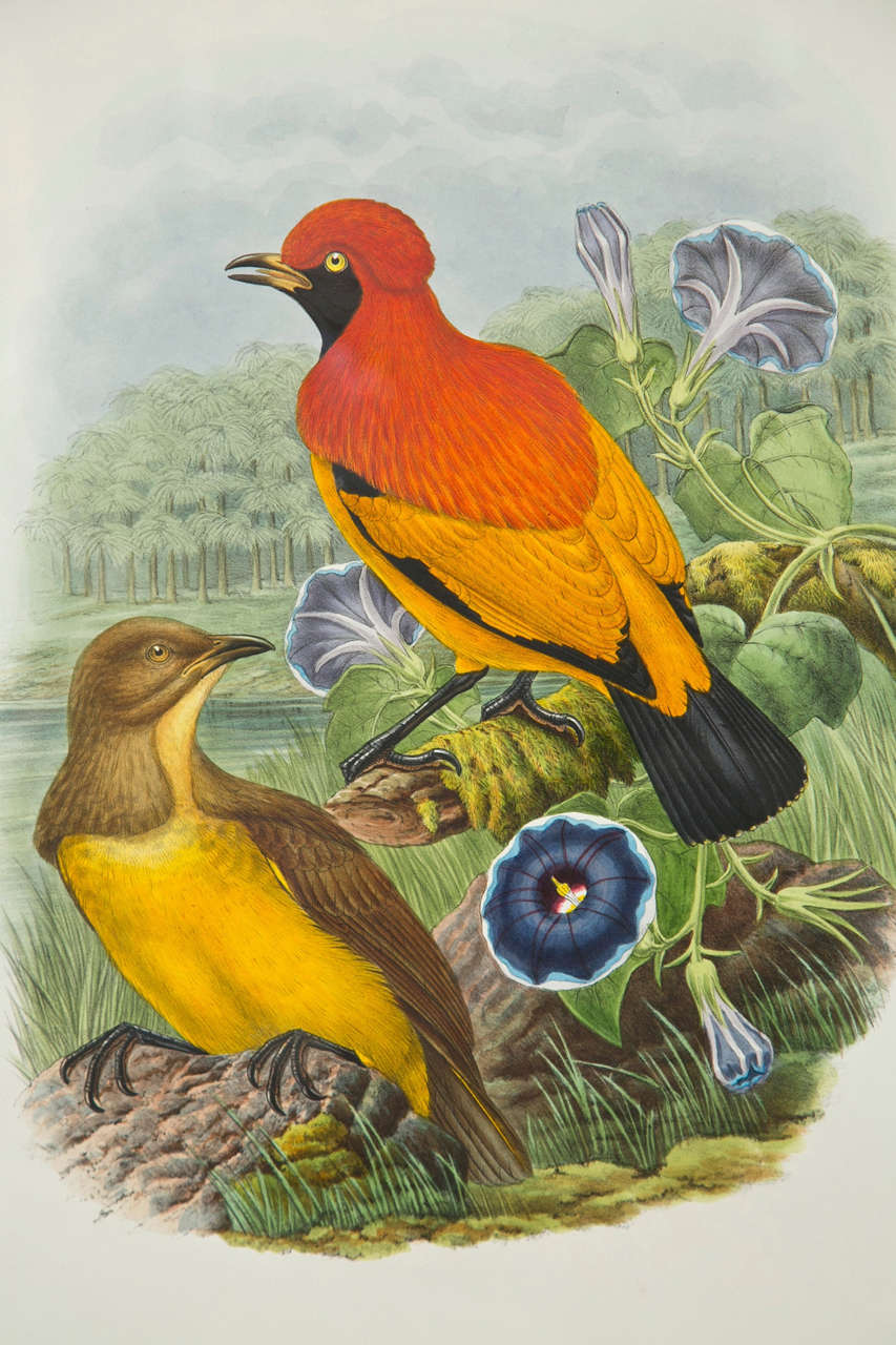 Fine Pair of Wonderfully Framed Lithographs For Sale at 1stdibs