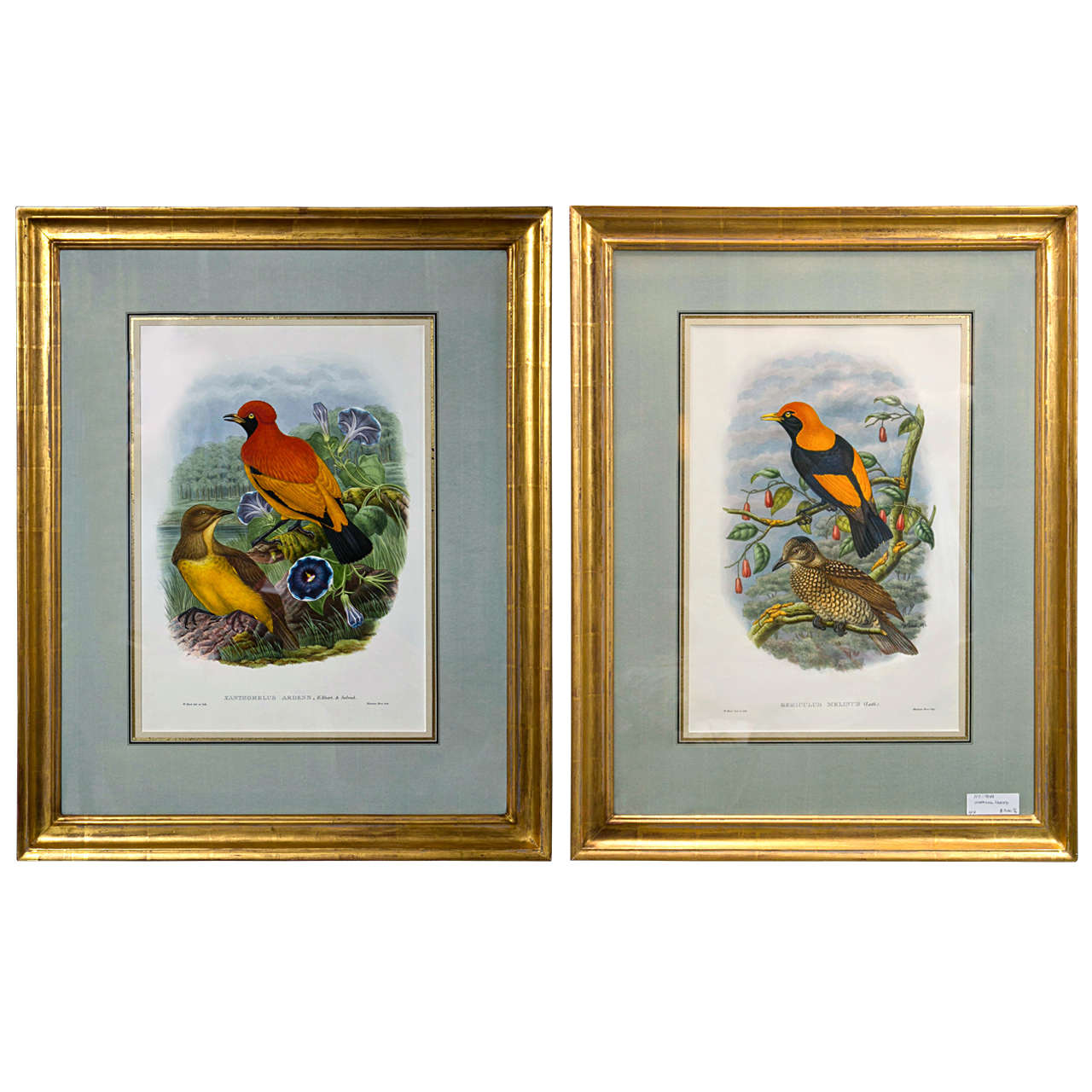 Fine Pair of Wonderfully Framed Lithographs For Sale at 1stDibs