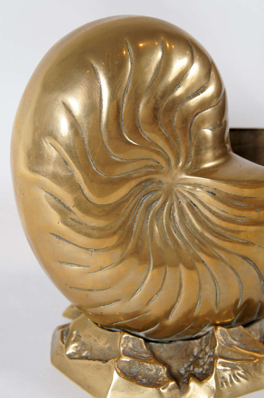 A Large Brass Nautilus Shell Vase at 1stDibs