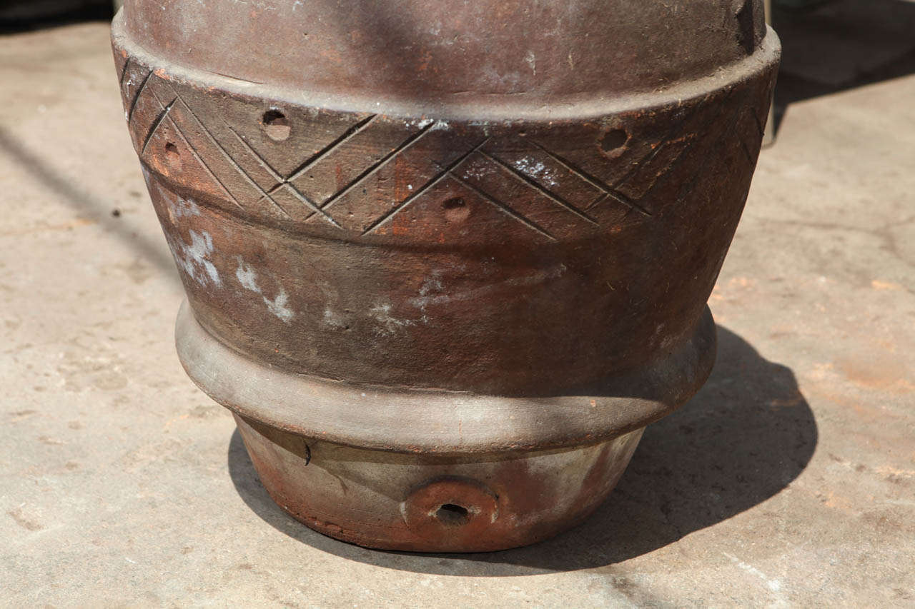 19th Century Olive Oil Jara For Sale at 1stDibs