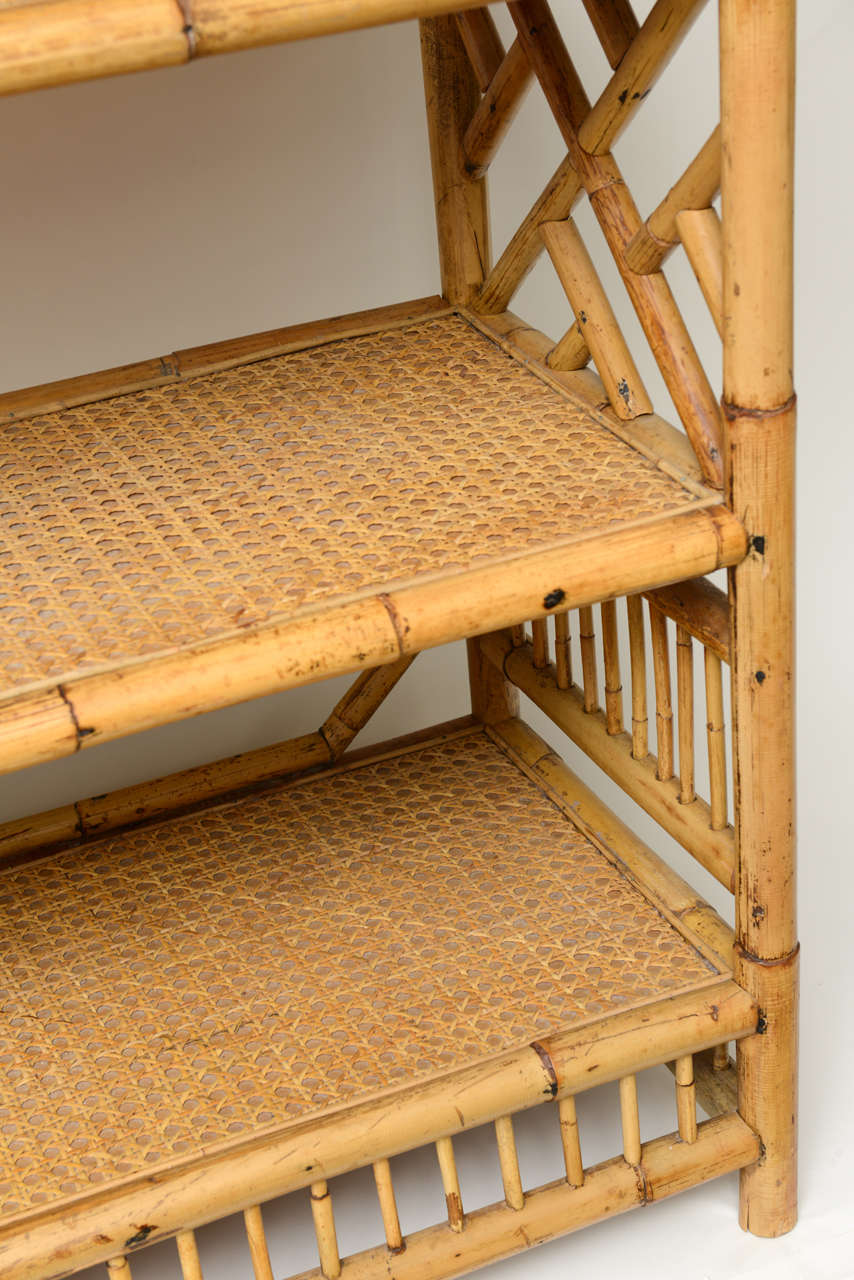 Pair of Large Six Tier Vintage Bamboo and Caned Etageres at 1stDibs