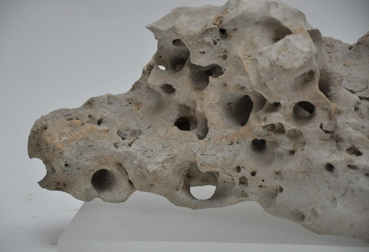 20th Century Objet d' Art of Raw Limestone on Sandblasted Acrylic Base ...