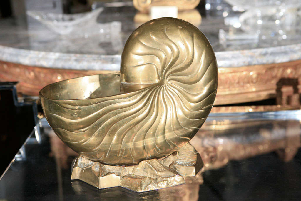 Gigantic Solid Brass Nautilus Planter at 1stDibs