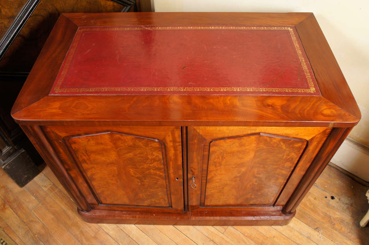 Victorian Period Specimen Cabinet For Sale at 1stDibs | specimen ...