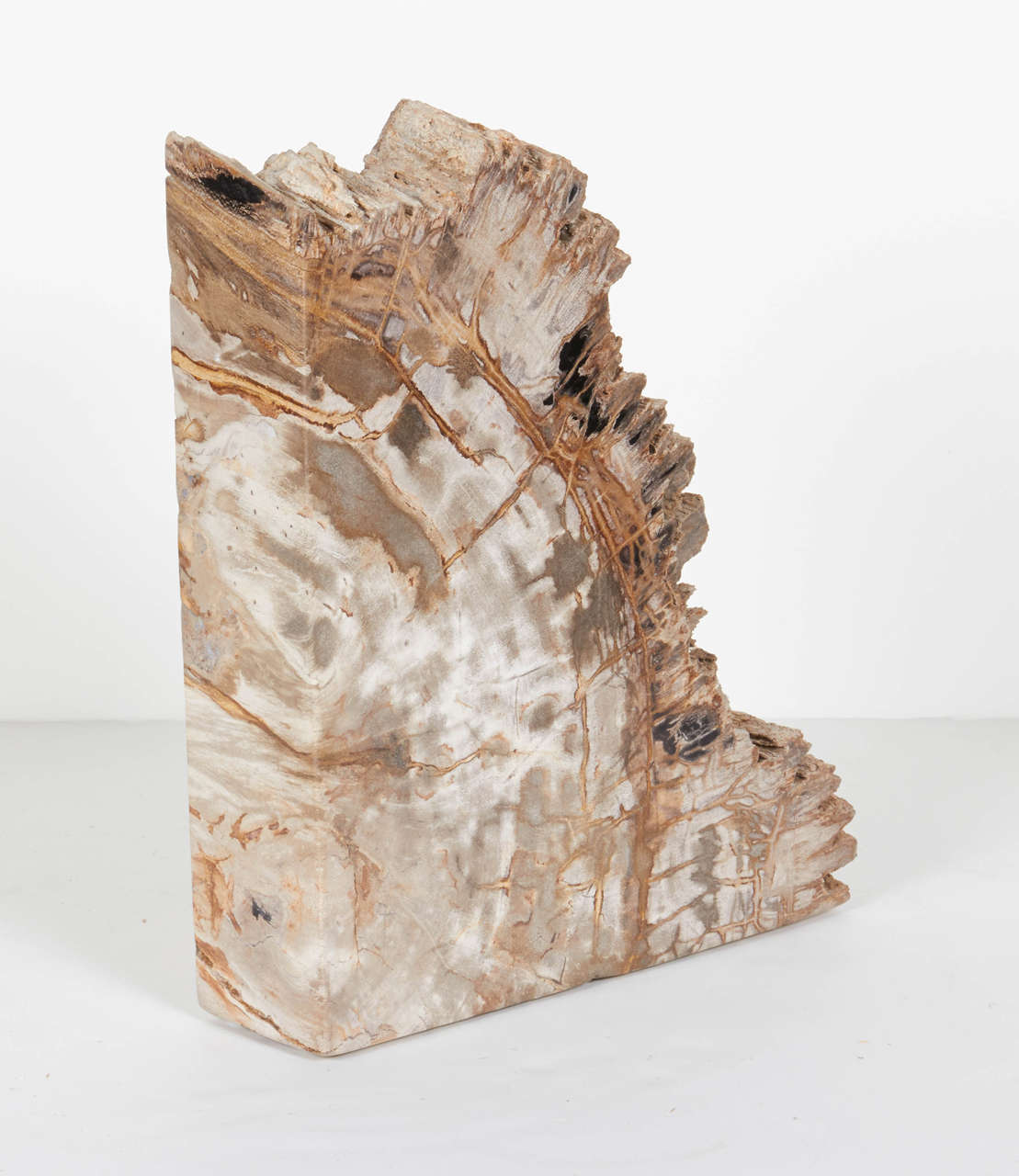 Pair of Remarkable Petrified Wood Bookends with Natural Jagged Edges at ...
