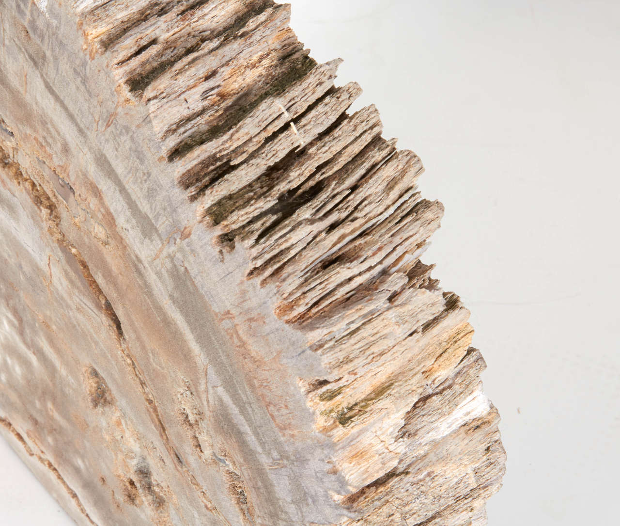 Pair of Remarkable Petrified Wood Bookends with Natural Jagged Edges at ...