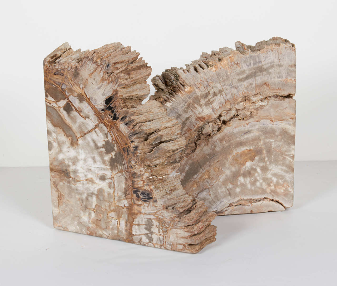 Pair of Remarkable Petrified Wood Bookends with Natural Jagged Edges at ...