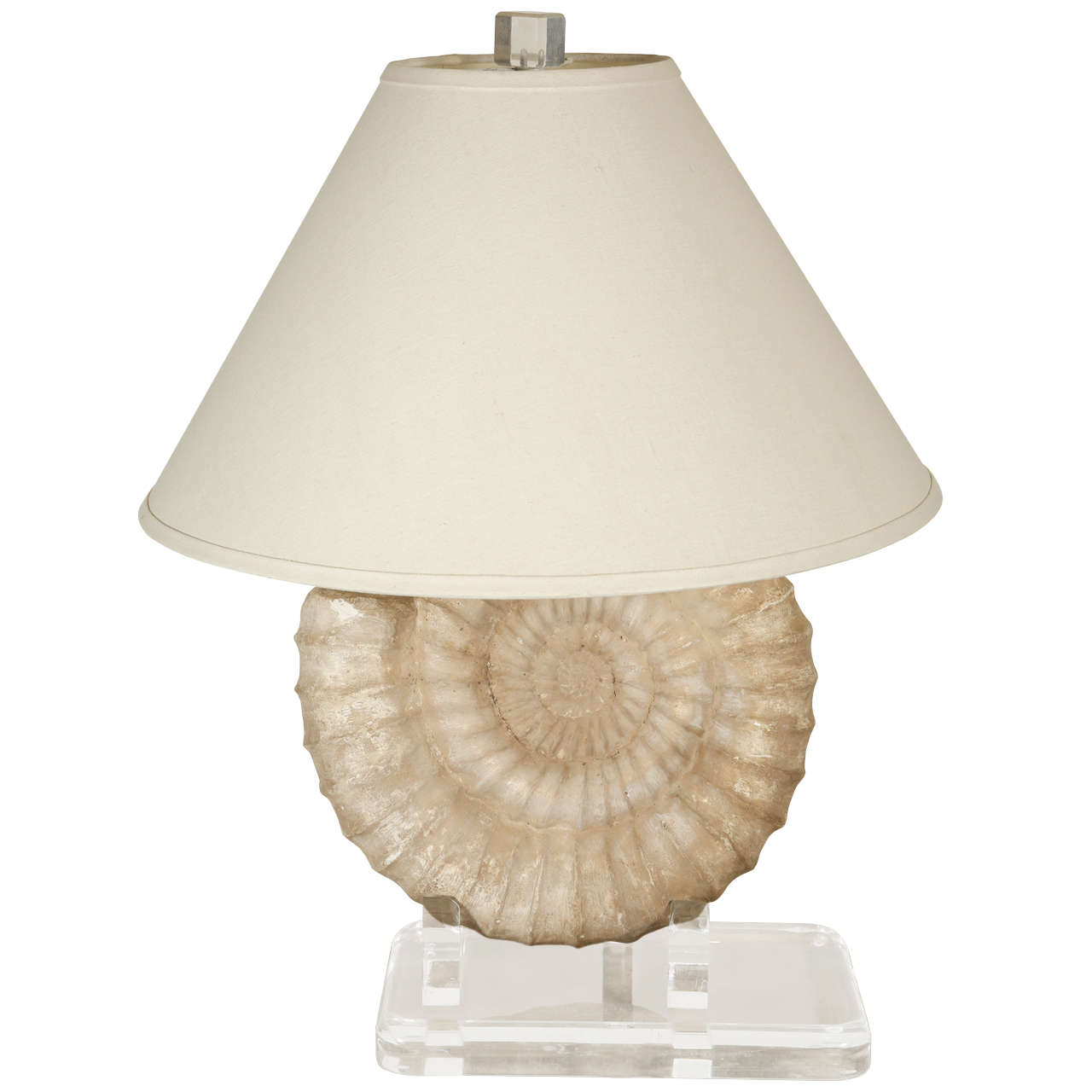 Large Faux Fossil Lamp at 1stDibs