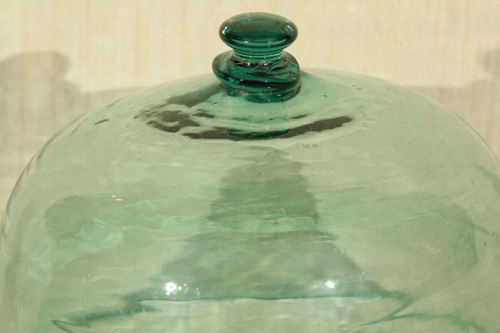 french garden cloche at 1stDibs