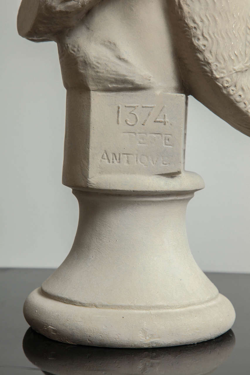 Baroque Style Plaster Cast Bust of Jupiter Trophonius at 1stDibs ...