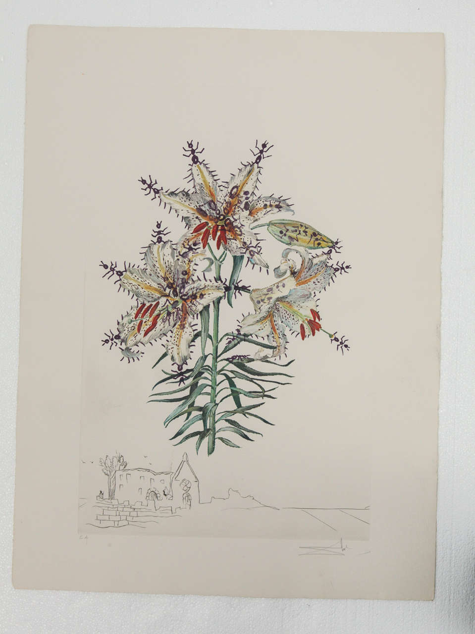 Signed Salvador Dali Florals Print "Tiger Lilies" For Sale at 1stDibs