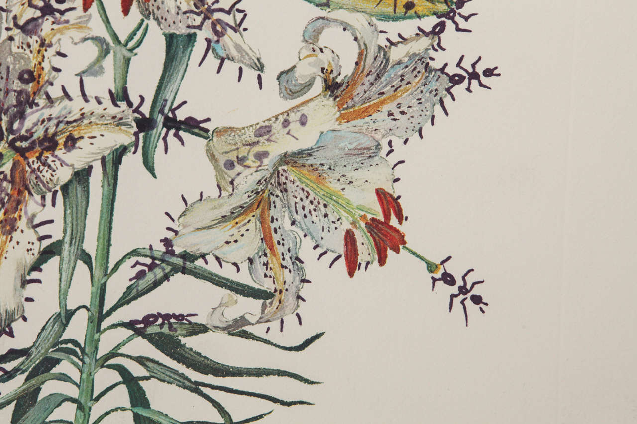 Signed Salvador Dali Florals Print "Tiger Lilies" For Sale at 1stDibs