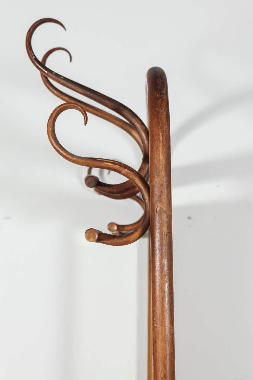 Bentwood Thonet Coat Rack and Umbrella Stand with Mirror at 1stDibs