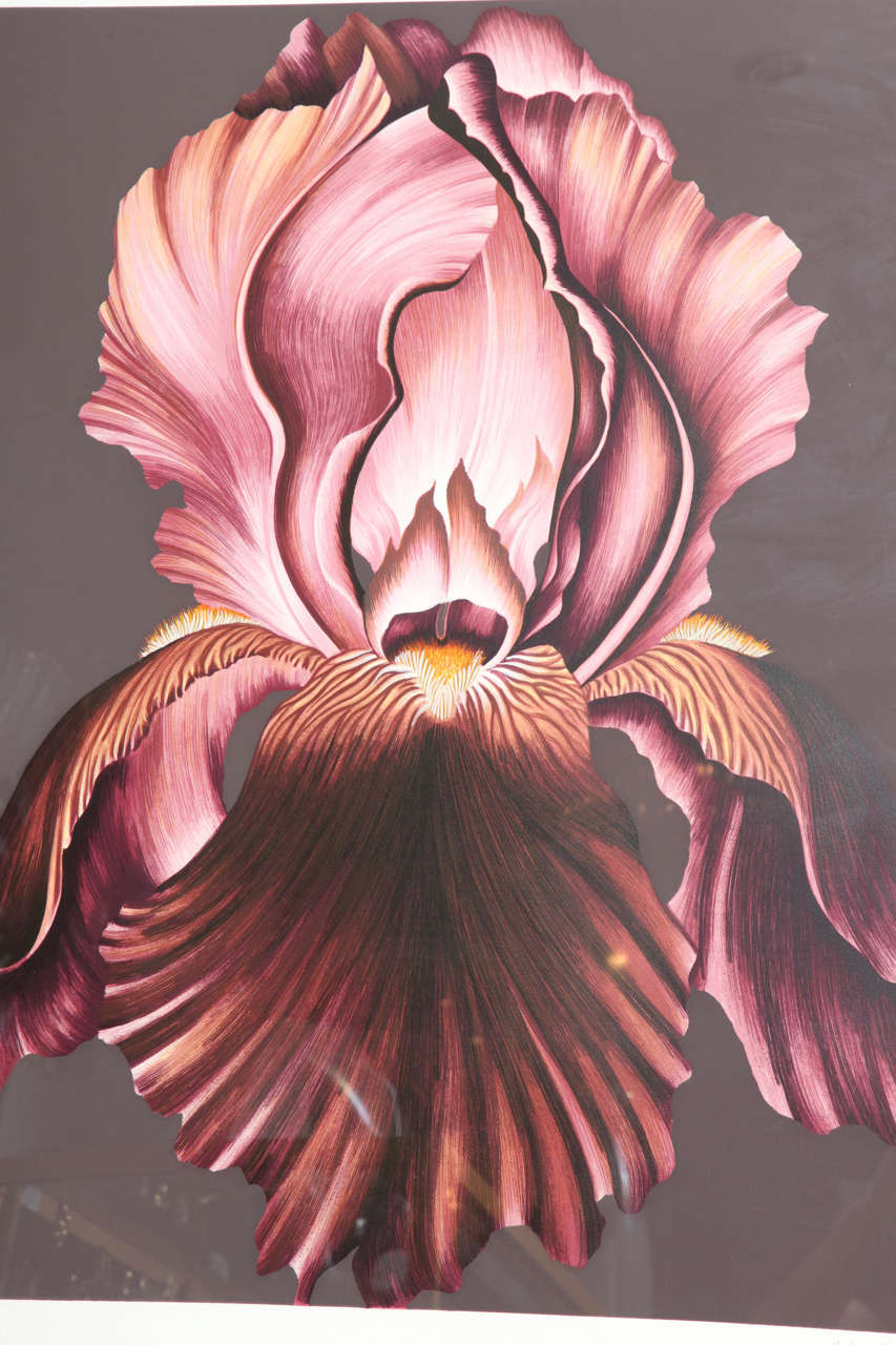 John Zak Large Framed Lithograph of Orchid at 1stDibs
