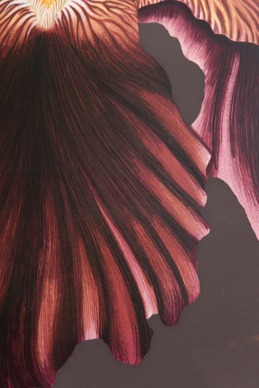 John Zak Large Framed Lithograph of Orchid at 1stDibs