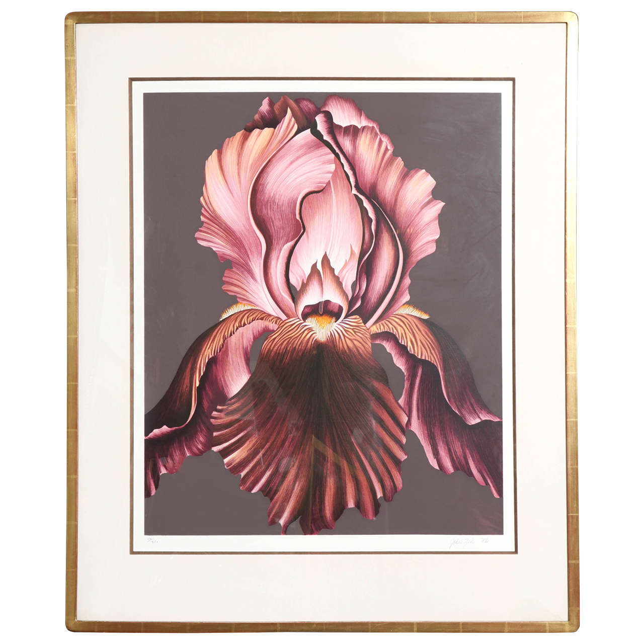 John Zak Large Framed Lithograph of Orchid at 1stDibs