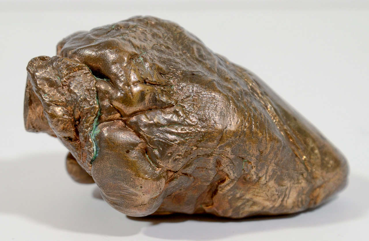 Cast Bronze Human Heart Paperweight Designed by Chris Classen at 1stDibs