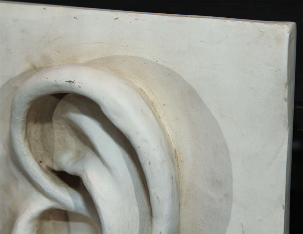 Listen Up! Ear Sculpture at 1stDibs