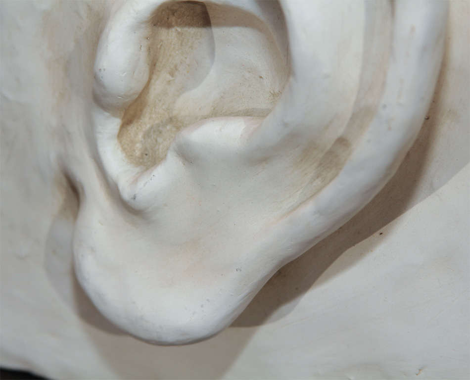 Listen Up! Ear Sculpture at 1stDibs