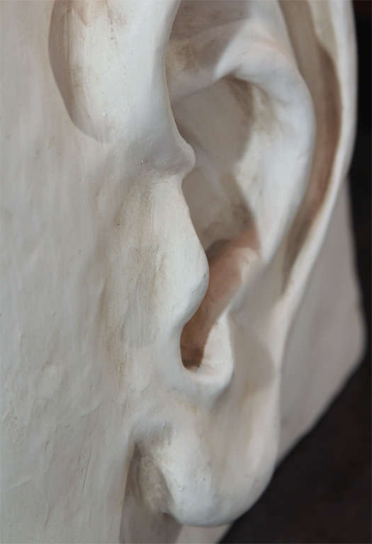 Listen Up! Ear Sculpture at 1stDibs