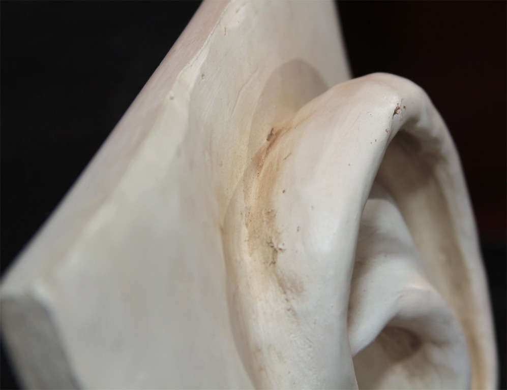 Listen Up! Ear Sculpture at 1stDibs