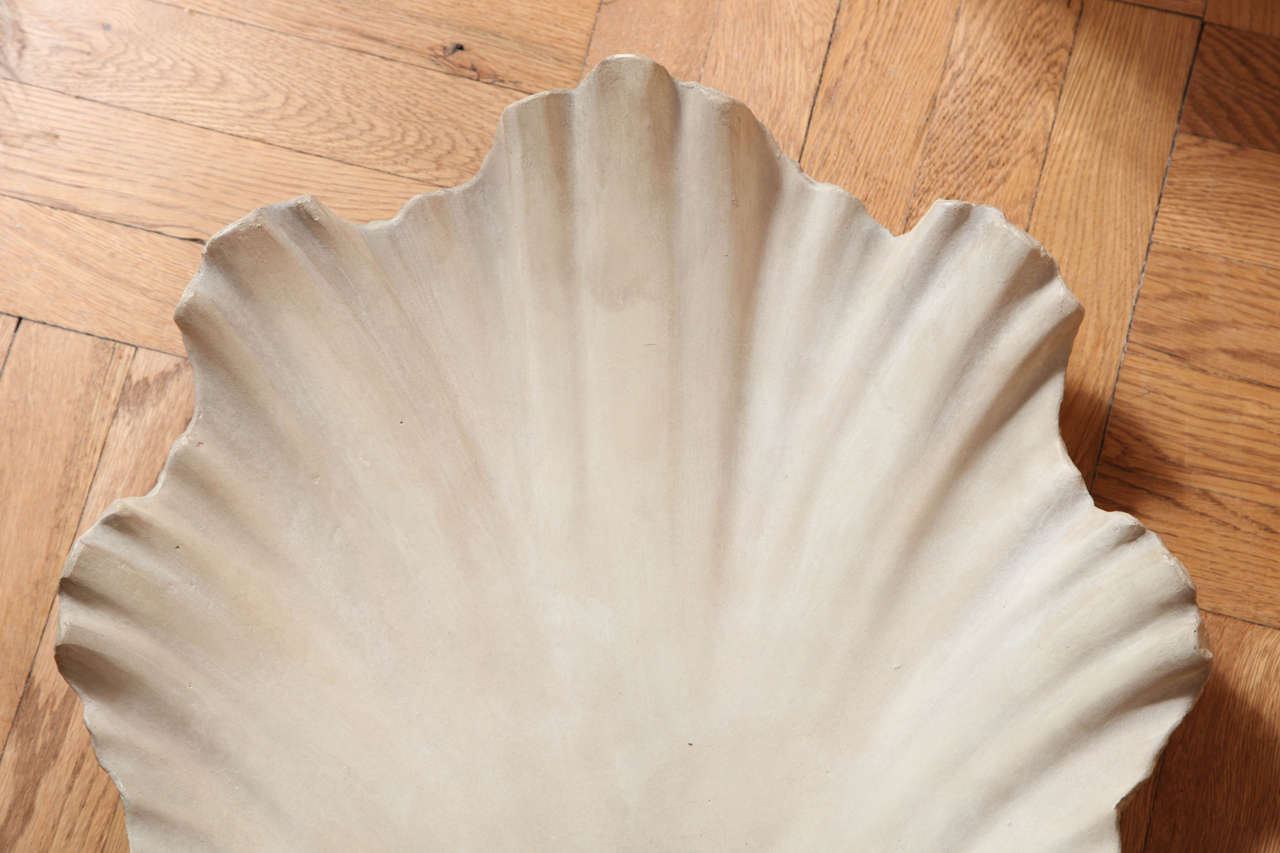 Porta Romana Scalloped Shell Wall Sconce in Antique Plaster Finish at ...