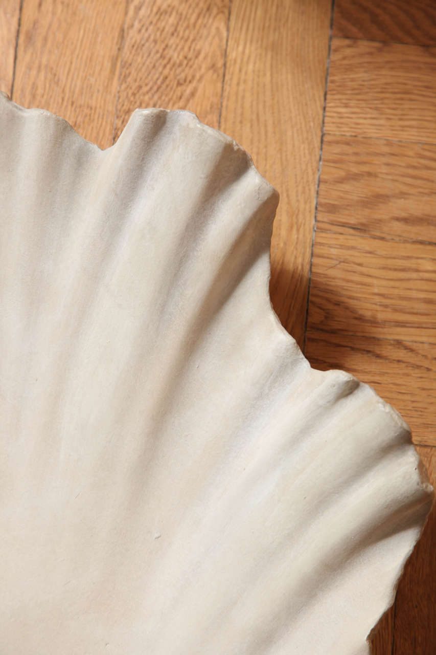 Porta Romana Scalloped Shell Wall Sconce in Antique Plaster Finish at ...