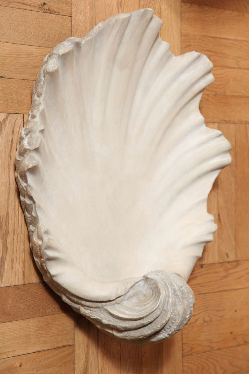 Porta Romana Scalloped Shell Wall Sconce in Antique Plaster Finish at ...