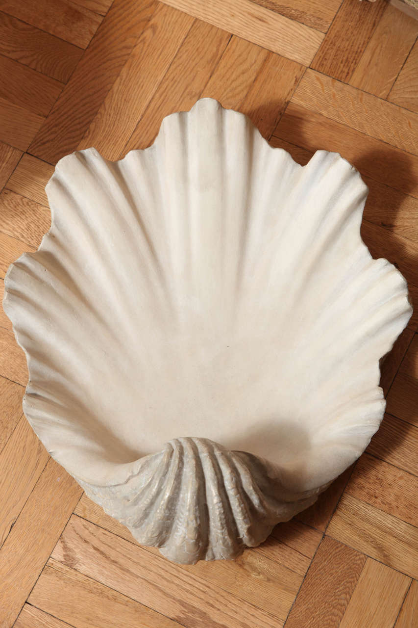 Porta Romana Scalloped Shell Wall Sconce in Antique Plaster Finish at ...