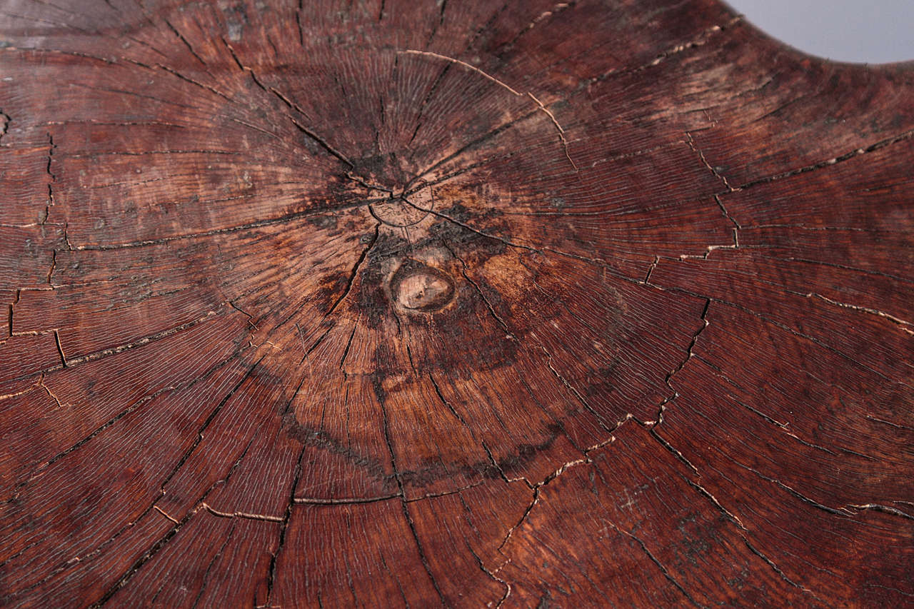Organic Form Lychee Tree Trunk Pedestal or End Table at 1stDibs