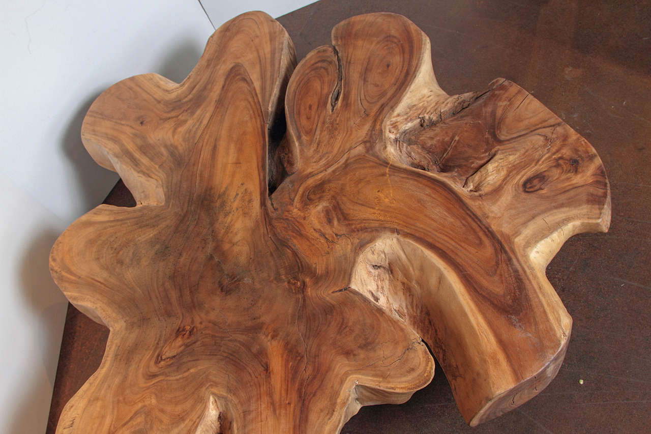 Organic Form Lychee Wood Coffee Table at 1stDibs | organic wood coffee ...