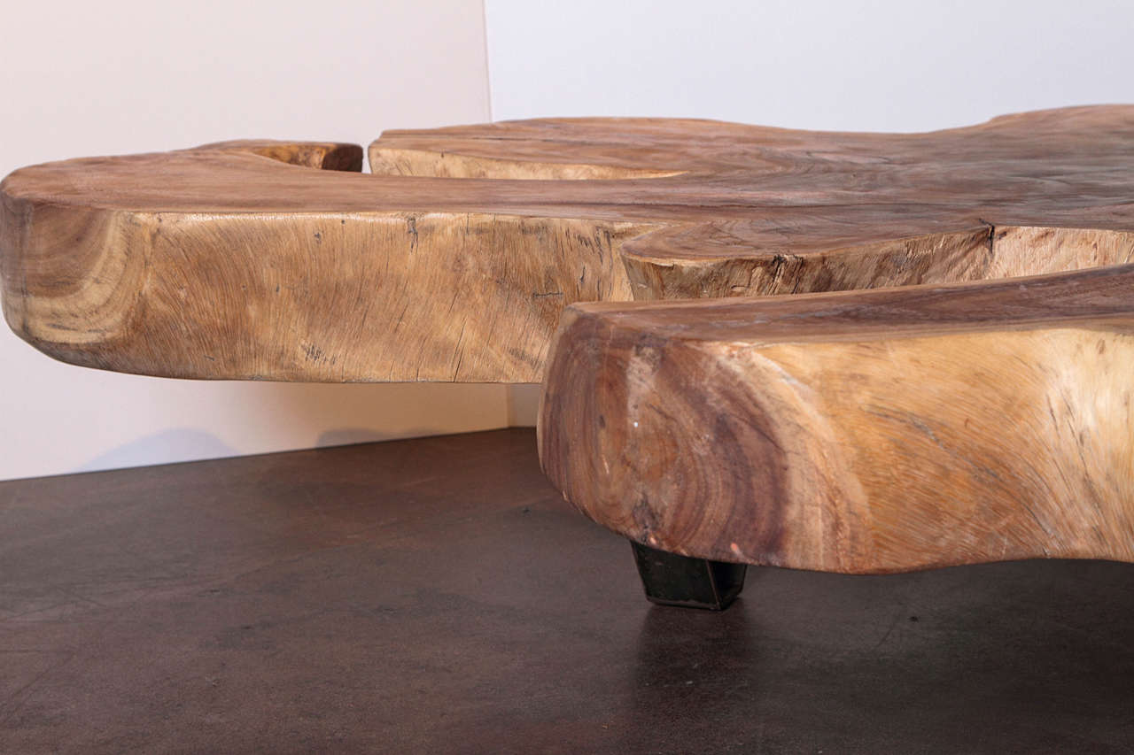 Organic Form Lychee Wood Coffee Table at 1stDibs | organic wood coffee ...