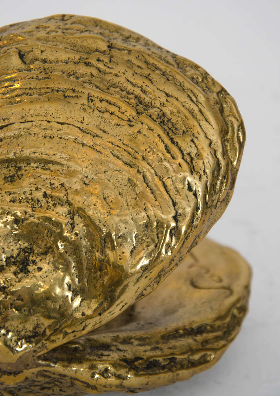 Oyster Shell in Bronze at 1stDibs | bronze shell, shell bronze, oyster ...