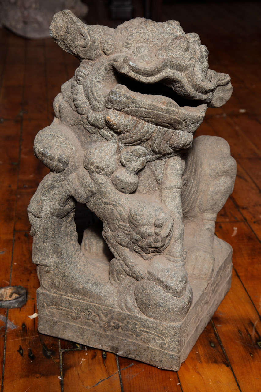 Chinese Pair of Stone Guardian Foo Dogs/Guardian Lions from 18th ...