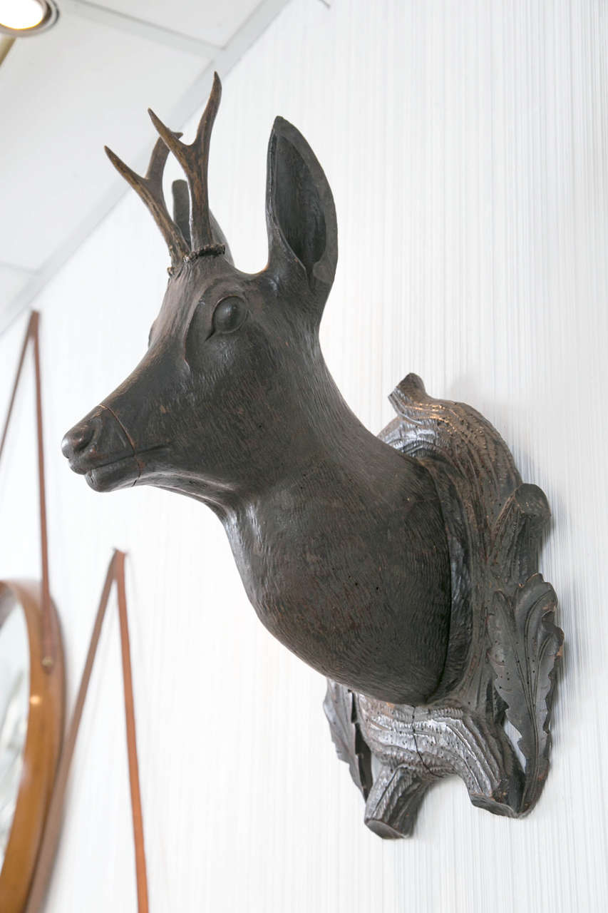 Pair of Black Forest Style Carved Wood Stag Heads at 1stDibs