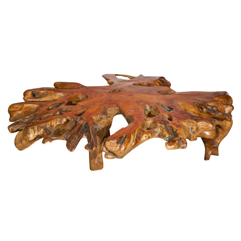 Teak Root Cocktail Table at 1stDibs