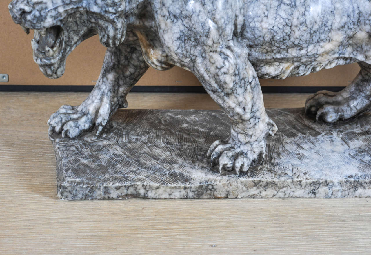 Italian Marble Tiger For Sale at 1stDibs