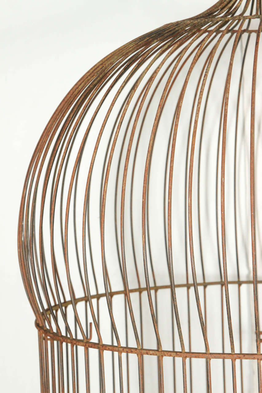 Extra Large Victorian Aviary at 1stDibs