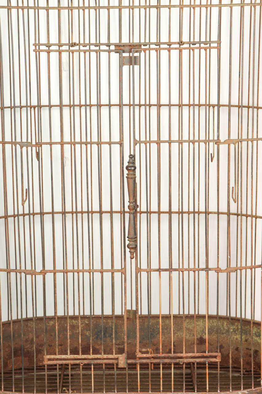 Extra Large Victorian Aviary at 1stDibs