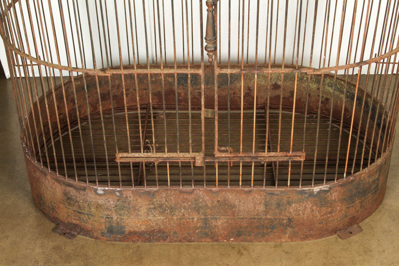 Extra Large Victorian Aviary at 1stDibs