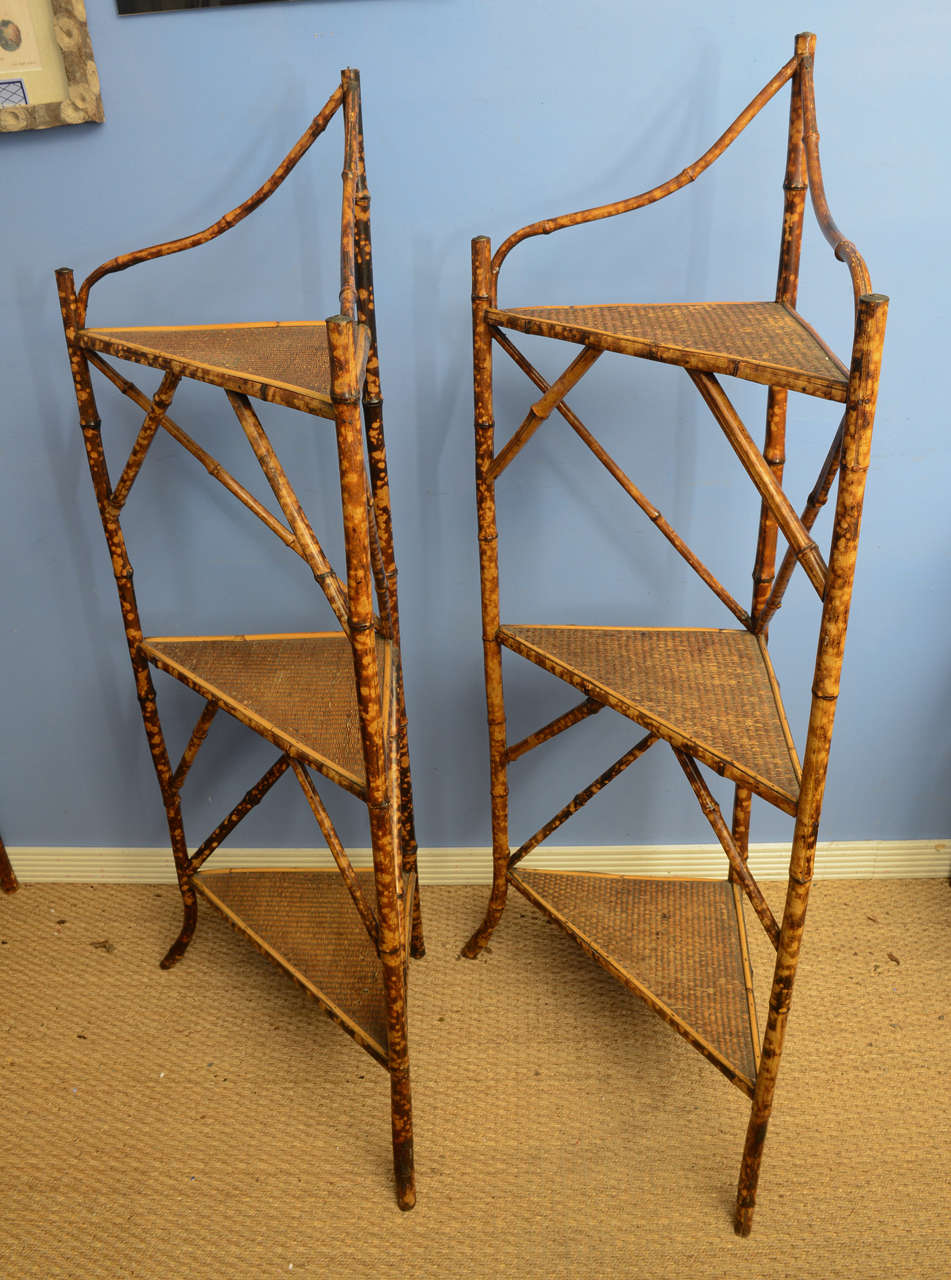 Pair of Early 20th Century English Bamboo and Rattan Corner Etageres at ...