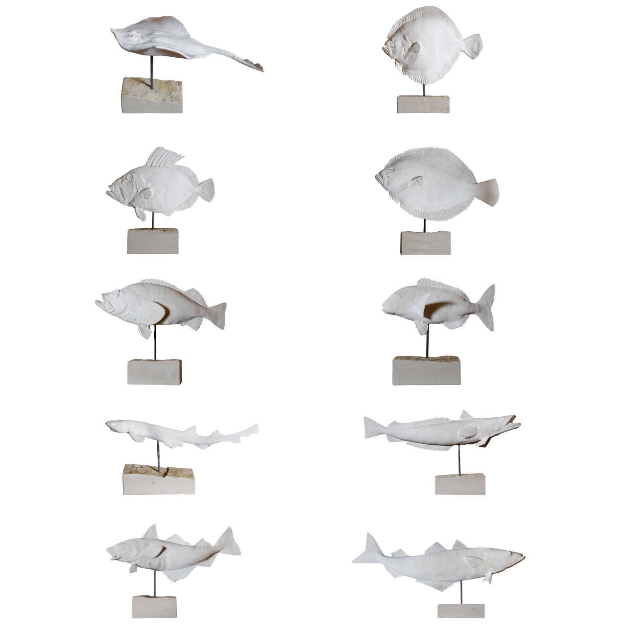 Collection of 10 Plaster North Sea Fish on a Limestone Base at 1stDibs