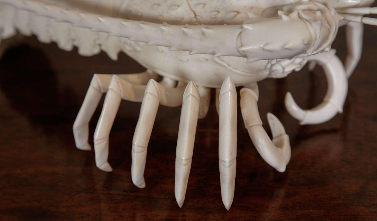 Ivory Lobster Circa 1900 For Sale at 1stDibs