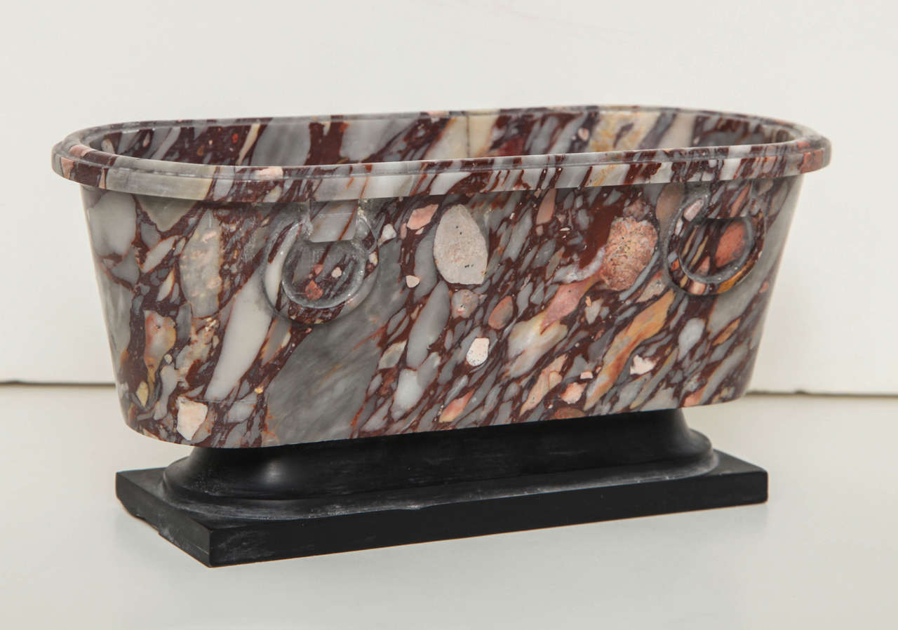 A 19th Century Italian Neoclassic Marble Bath at 1stDibs