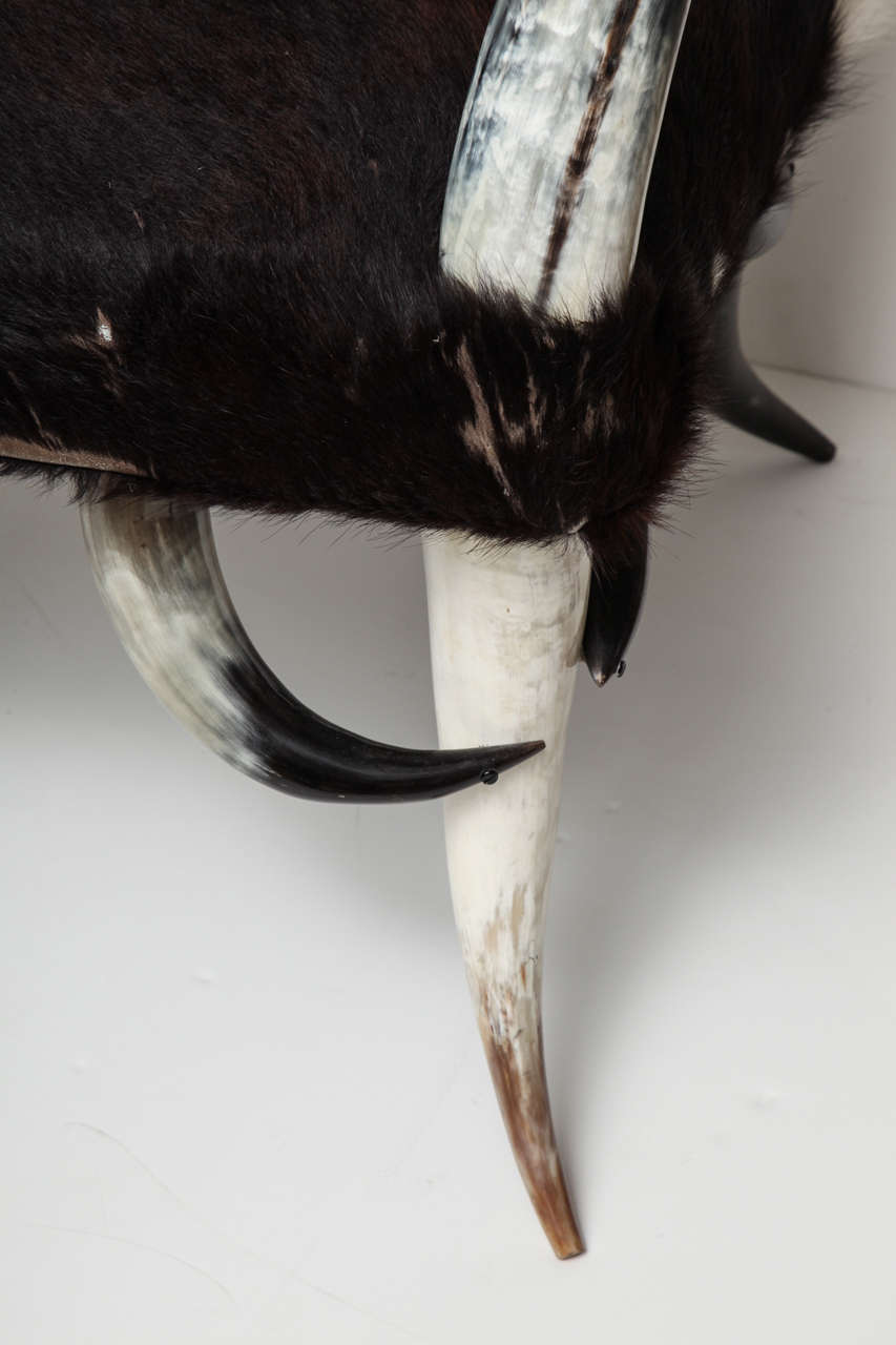 Cow Horn Club Chair at 1stDibs | cow horn furniture, cow horn chair ...