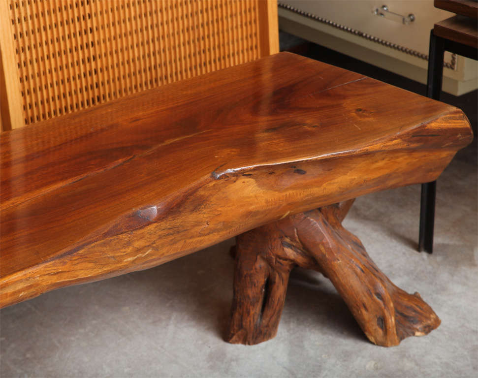 Huge Divi Divi Root Table/Bench at 1stDibs | tree root furniture for ...