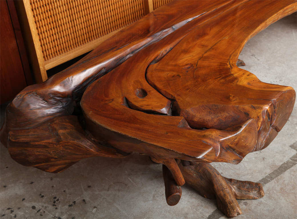 Huge Divi Divi Root Table/Bench at 1stDibs | tree root furniture for ...