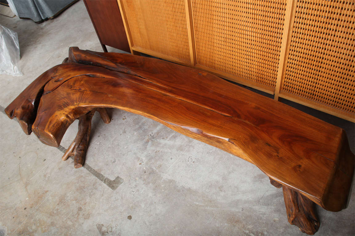 Huge Divi Divi Root Table/Bench at 1stDibs | tree root furniture for ...