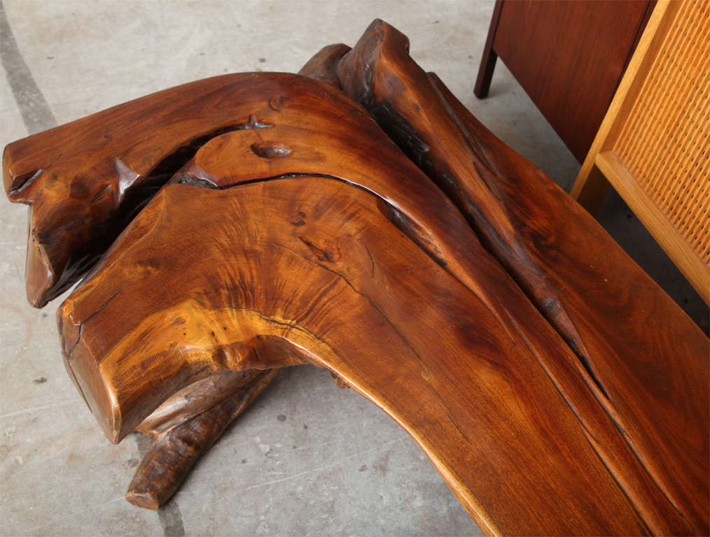 Huge Divi Divi Root Table/Bench at 1stDibs | tree root furniture for ...